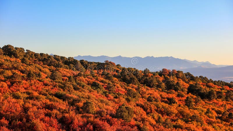 Fall Foliage at Black Canyon of Gunnison Stock Image - Image of ...