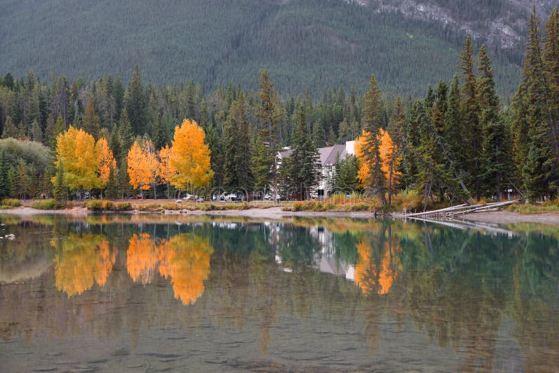 Fall Foliage by Bow River Near Banff City in Alberta, Canada Stock ...