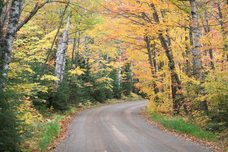 Fall Foliage on Country Road Stock Image - Image of colorful, maple ...