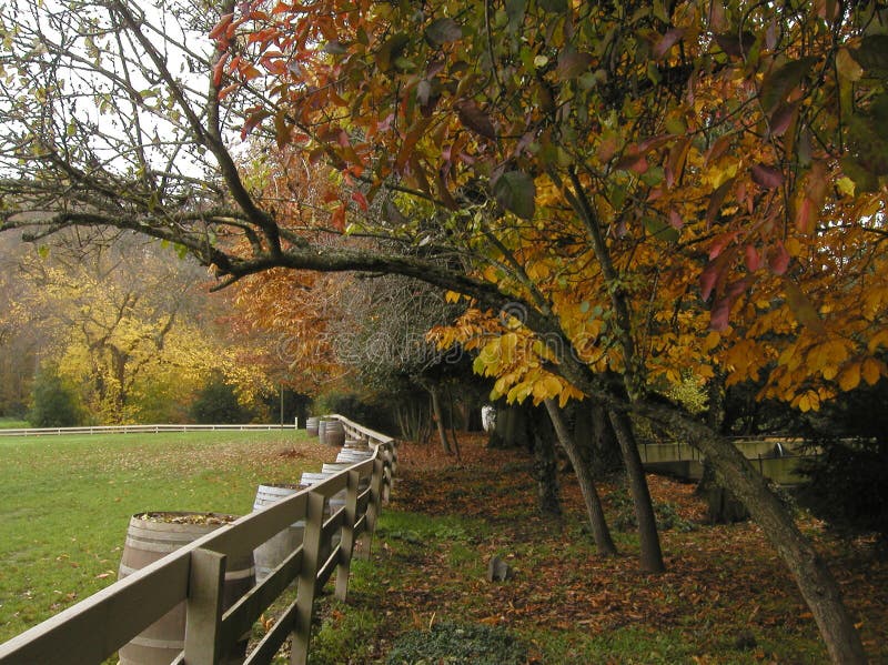 Fall Foliage on the Grounds Stock Image - Image of barrels, colorful: 46793
