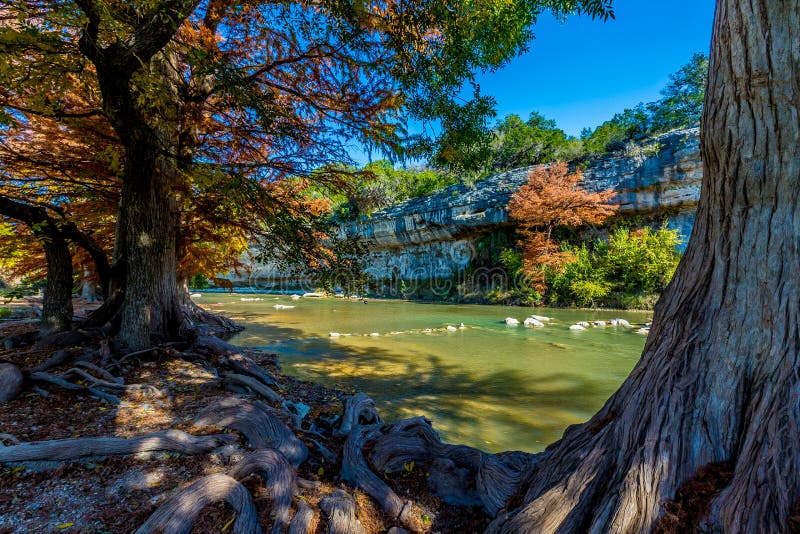 Fall Foliage at Guadalupe State Park, Texas Stock Image - Image of ...