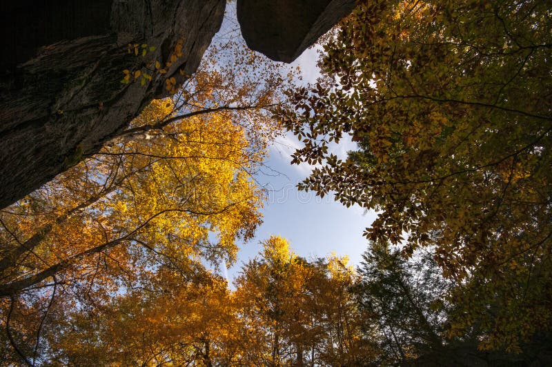 Purgatory Chasm stock photo. Image of leaves, waterfall - 95531282