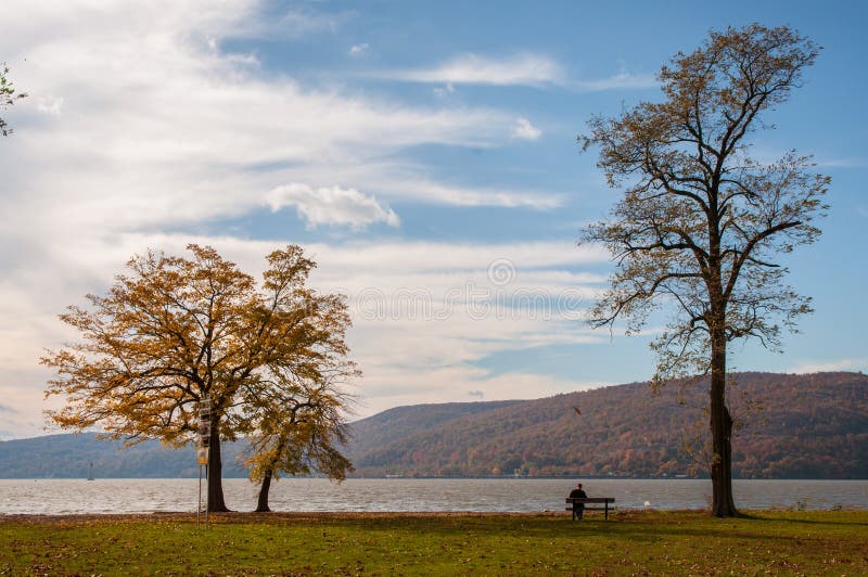 Fall Foliage Lone Tree at River Front Stock Image - Image of fall ...