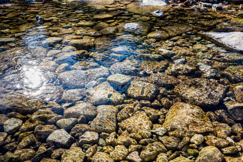 Fall Foliage at Lost Maples State Park in Texas. Stock Photo - Image of ...