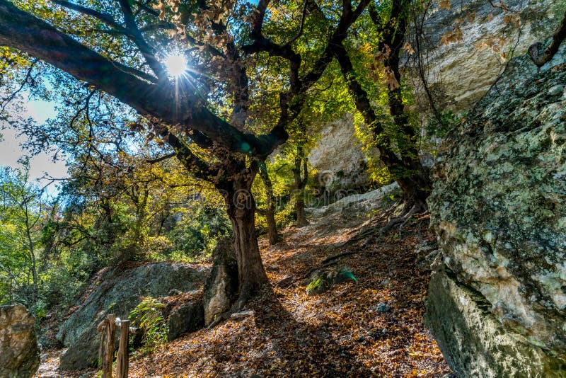 A Picturesque Scene with Beautiful Fall Foliage on a Tranquil Babbling ...