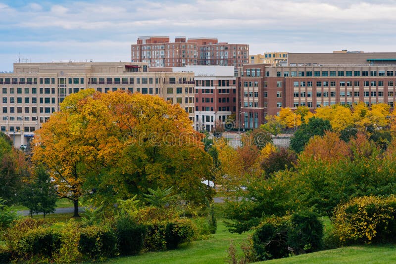 Fall Foliage and Modern Buildings in Alexandria, Virginia Stock Image ...