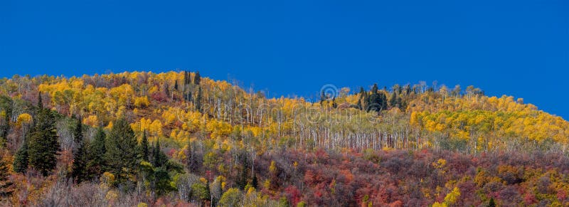 Fall Foliage on Mountain Peaks in Wasatch Mountain State Park Stock ...