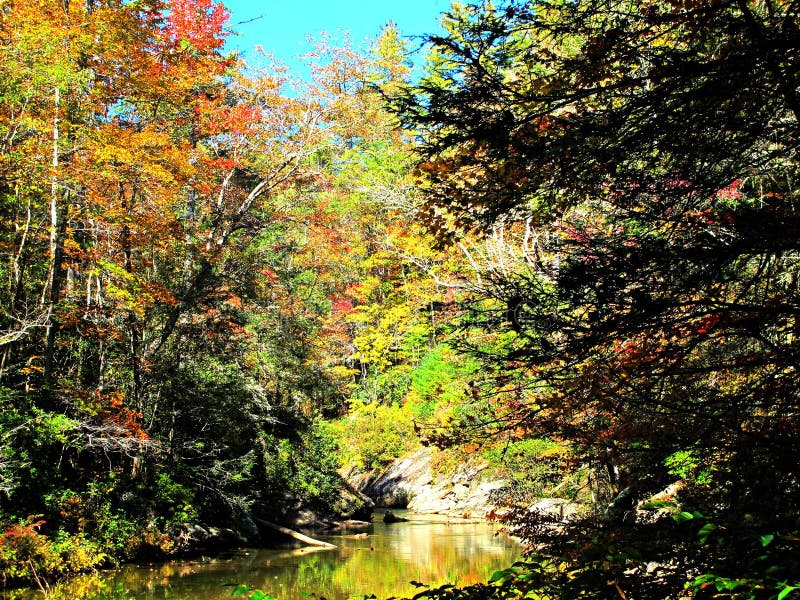 Fall Foliage on Mountain River Stock Image - Image of picturesque ...