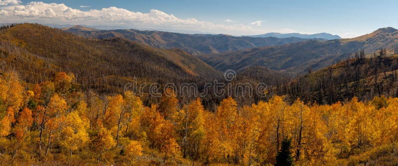 Fall Foliage on Mountain Slopes in Uinta Wasatch Cache National Forest ...