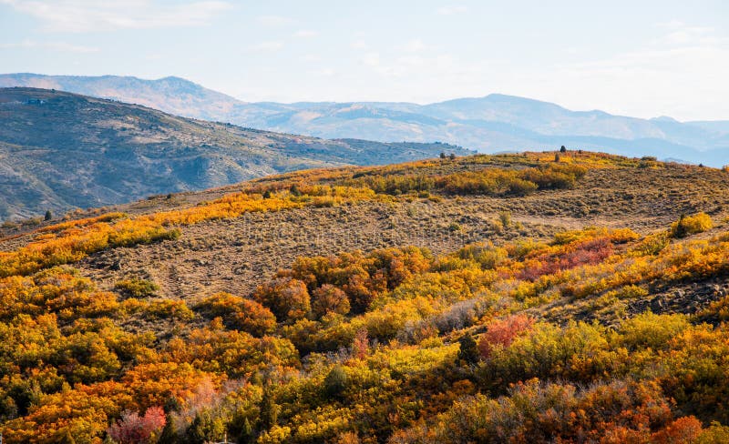 Fall Foliage on Mountain Slopes in Uinta Wasatch Cache National Forest ...