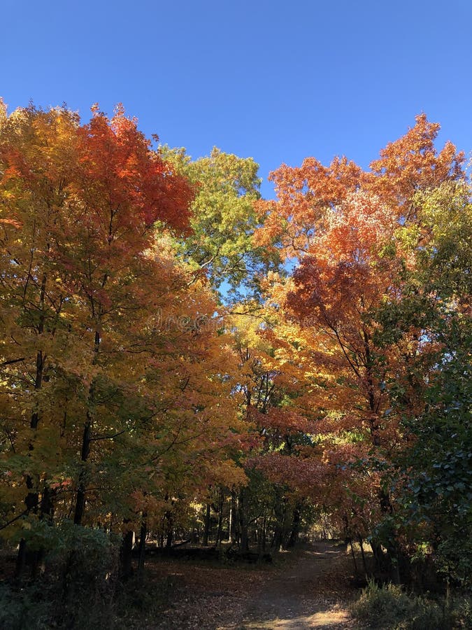 Fall Foliage in October at Palisades Interstate Park in New Jersey ...