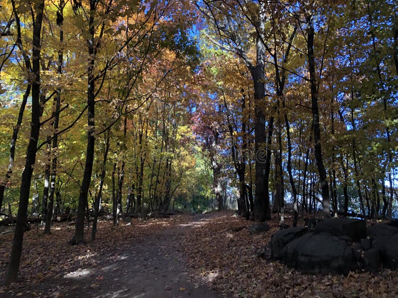 Fall Foliage in October at Palisades Interstate Park in New Jersey ...