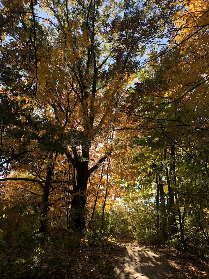 Fall Foliage in October at Palisades Interstate Park in New Jersey ...