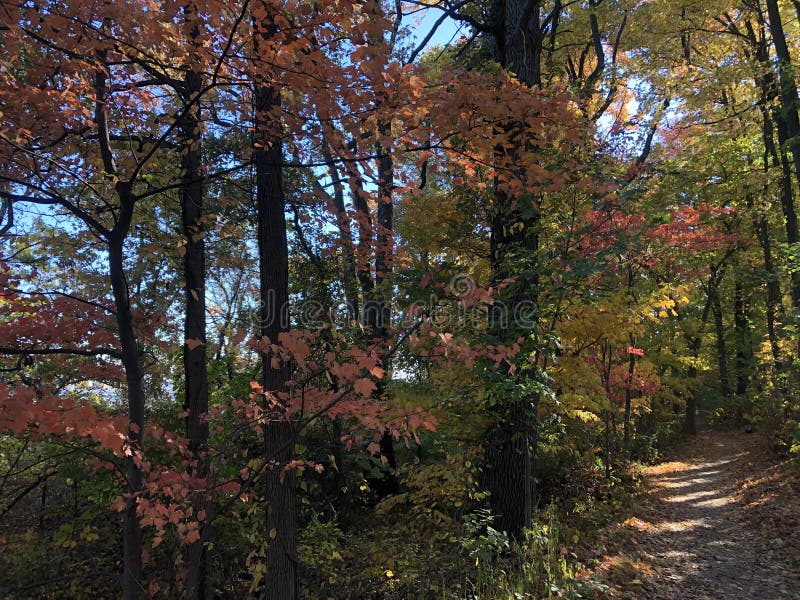 Fall Foliage in October at Palisades Interstate Park in New Jersey ...