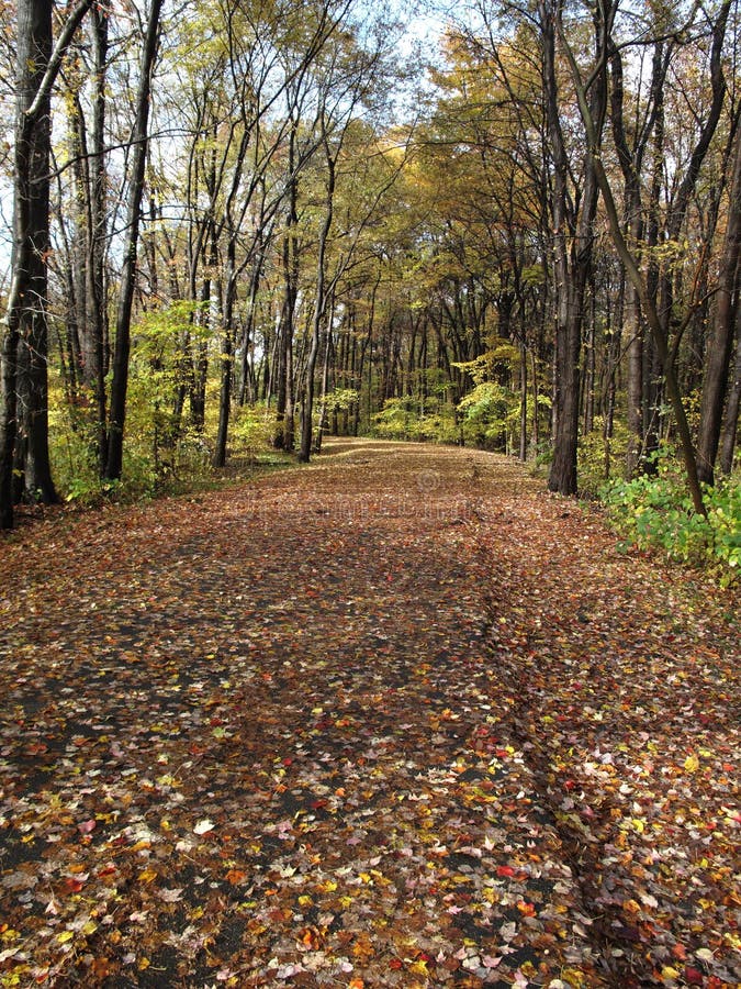 Fall Foliage and Path stock image. Image of landscape - 14101393