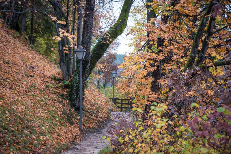Fall foliage on a path stock photo. Image of lake, outdoor - 128571832