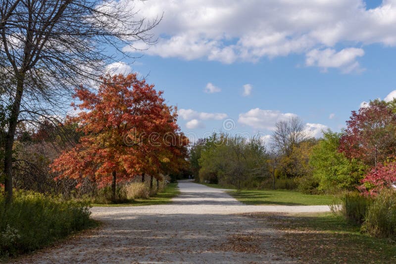 Fall Foliage Path stock image. Image of scene, road - 200094163