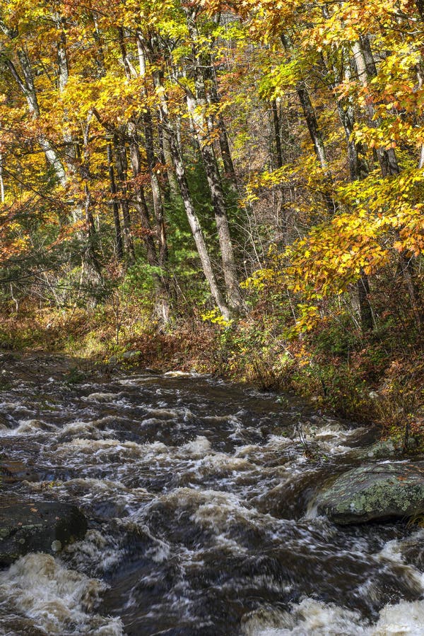 Autumn at the rivers edge stock image. Image of leaves - 235975753
