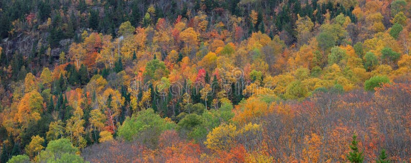 Fall Foliage in Quebec Mountains Stock Photo - Image of panoramic ...