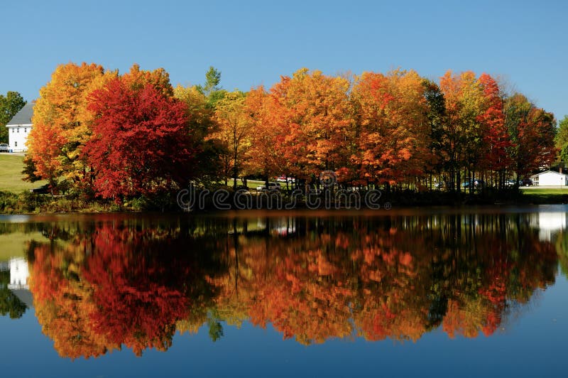 Fall Foliage Reflecting in Lake Stock Photo - Image of grove, daylight ...