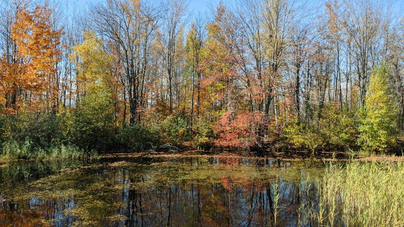 Fall Foliage Reflection with Reflection Stock Photo - Image of wuebec ...