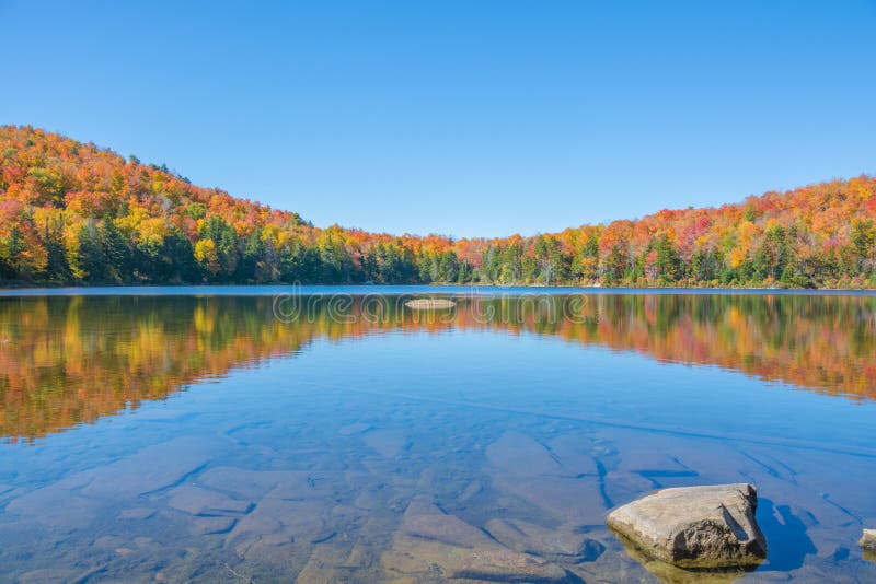 Fall Foliage Reflection on a Shallow Pond Stock Image - Image of pond ...