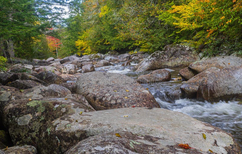 Fall Foliage with a Rocky Stream Stock Photo - Image of yellow, rocky ...