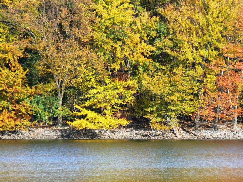 Fall Foliage stock photo. Image of trees, vegetation - 66378612