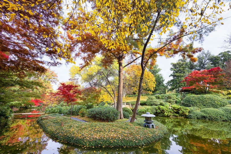 Fall Foliage in Texas stock photo. Image of path, afternoon - 35515040