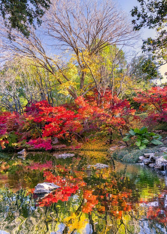 Fall Foliage in Texas stock image. Image of worth, clear - 36003173