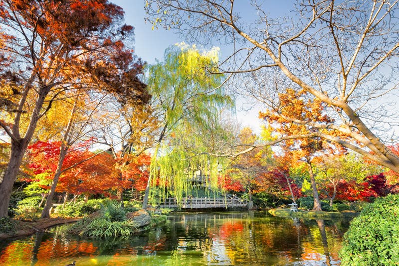 Fall Foliage in Texas stock photo. Image of lake, yukimi - 36000322