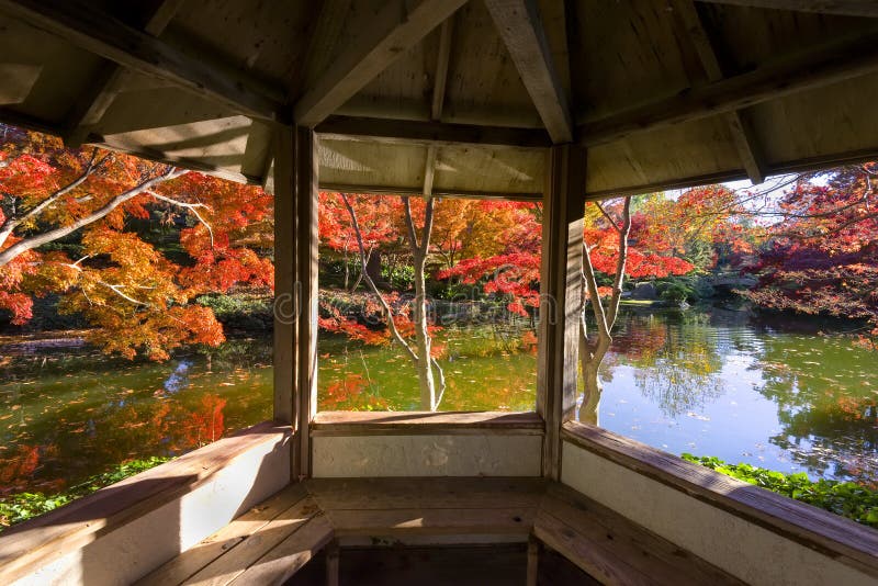 Fall Foliage in Texas stock image. Image of worth, clear - 36003173