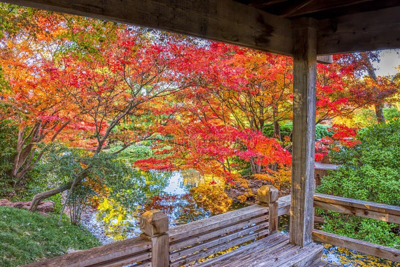 Fall Foliage in Texas stock image. Image of worth, clear - 36003173