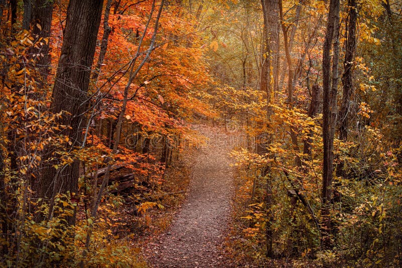 Rural Michigan Farm in the USA Stock Image - Image of ecology ...