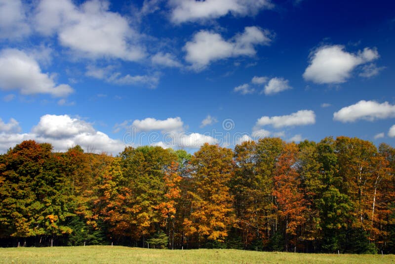 Fall Foliage at Vermont, USA Stock Photo - Image of orange, leaves ...