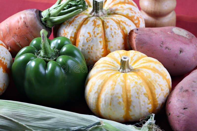 Fall food ingredients stock photo. Image of layout, pumpkin - 11160332
