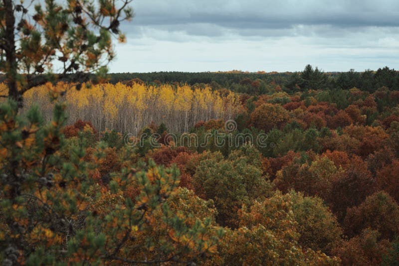 Fall forest from above stock photo. Image of sunlight - 262478244