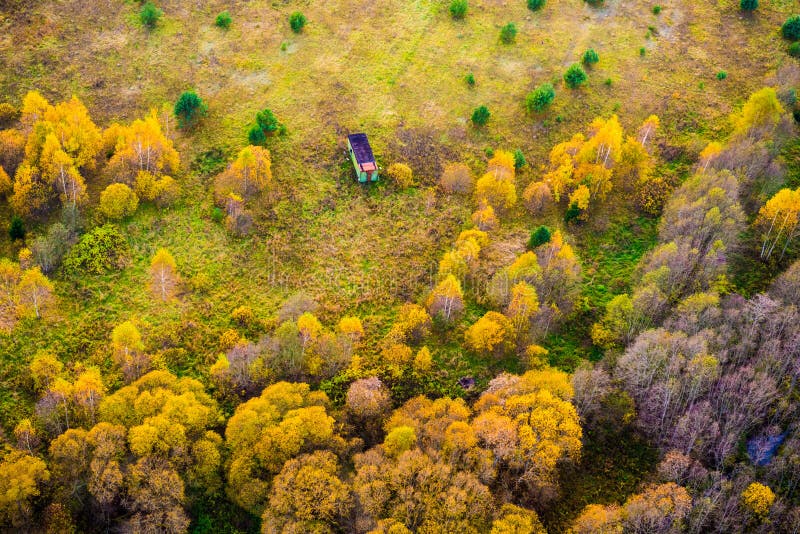 Fall forest stock photo. Image of golden, lithuania, beauty - 52067000