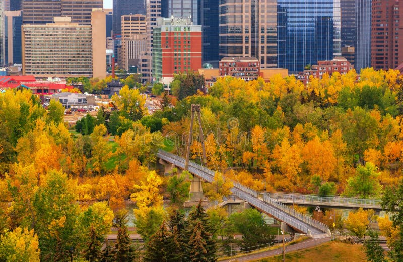 Fall Forest by Downtown Calgary Stock Image - Image of building ...