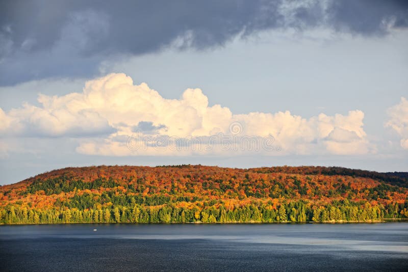 Fall forest and lake stock image. Image of landscape - 21747515