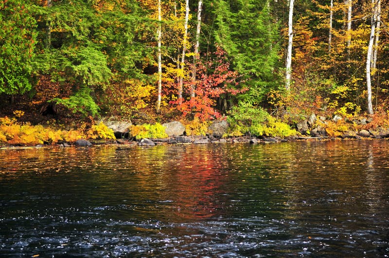 Lake and fall forest stock image. Image of bright, landscape - 41982397
