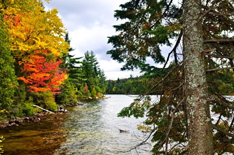 Lake and fall forest stock image. Image of bright, landscape - 41982397