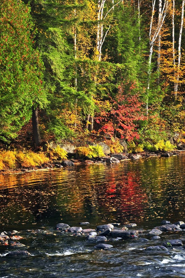Lake and fall forest stock image. Image of bright, landscape - 41982397