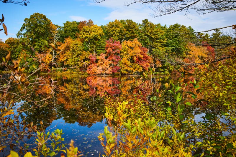 Fall Forest in New York with Lake Reflecting the Trees Stock Photo ...