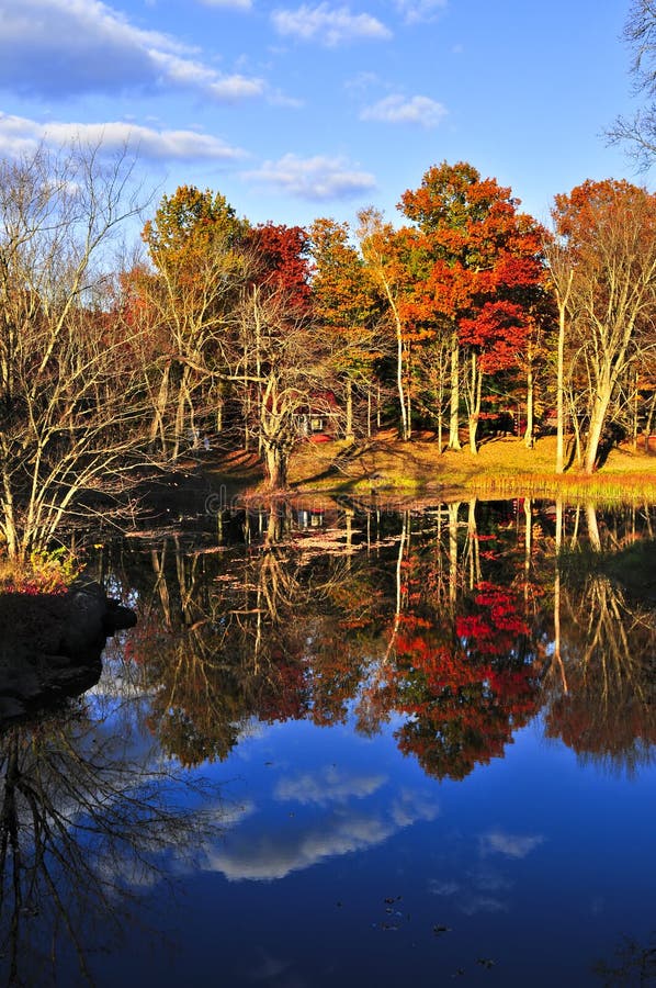 Autumn Trees Reflection stock photo. Image of scarlet - 3669038