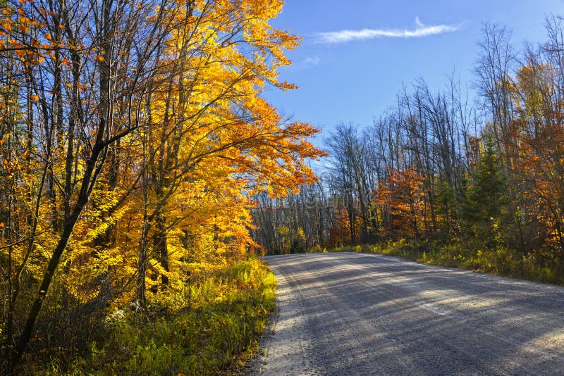 Road in fall forest stock photo. Image of outdoors, ontario - 40538938