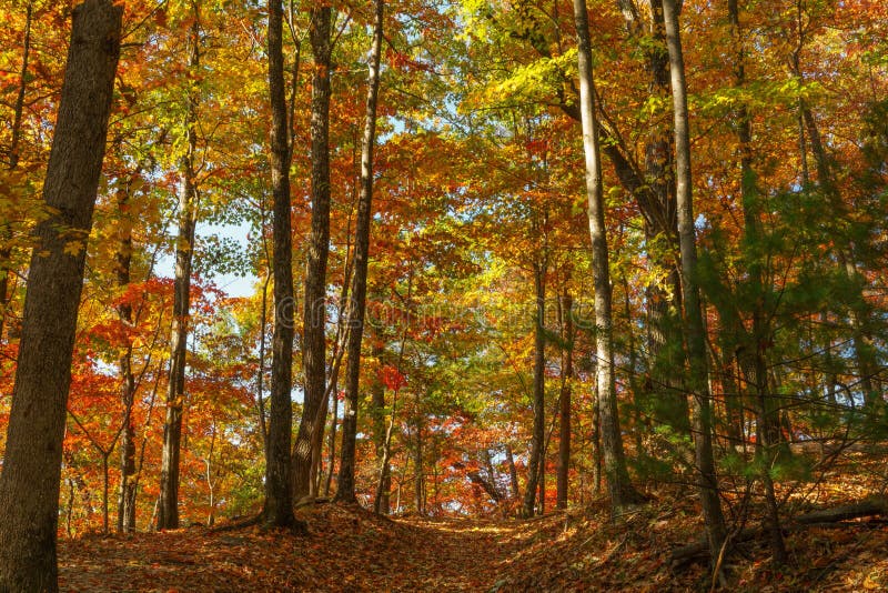 Hiker at Stone Mountain State Park Stock Image - Image of mountain ...