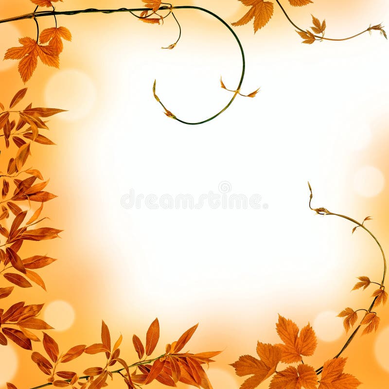 Fall frame stock illustration. Illustration of decoration - 23290761