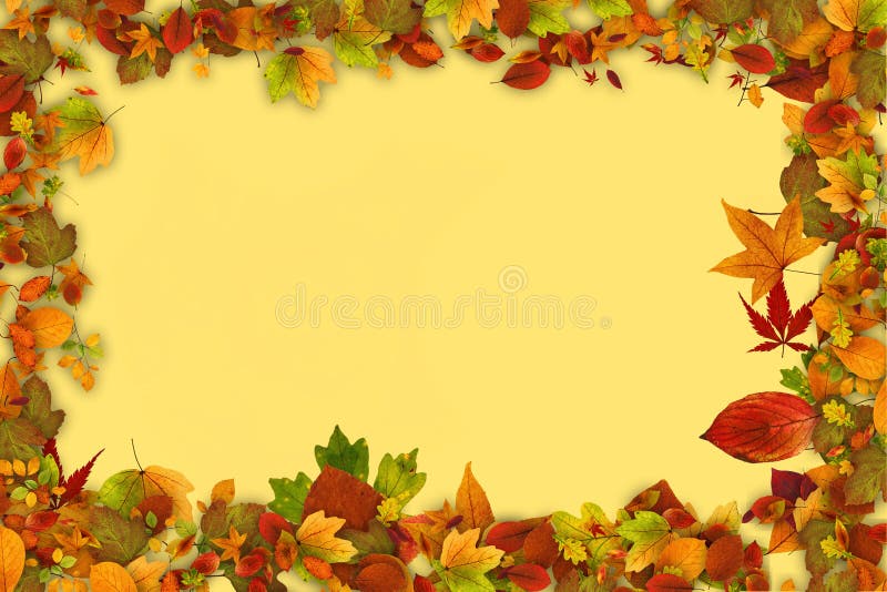 Fall Frame stock photo. Image of leaves, fall, seasons - 33890308
