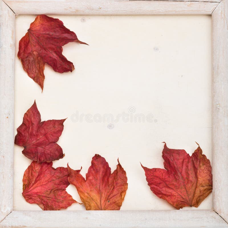 Fall frame stock photo. Image of grey, decorative, october - 57501730